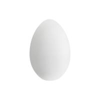 China Modern Eco-Friendly Egg-Shaped LED Table Lamp Indoor Night Light Stylish Design for Reading Room AC DC Power Supply Remote for sale