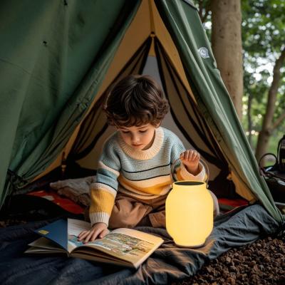 China LED Color Changing Camping Lantern for Outdoor & Garden for sale