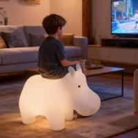 China LED Light Up Hippopotamus Chair – Sensory Seating & Ambient Furniture for Kids with 16 Colors Remote, Waterproof, Rechargeable for sale