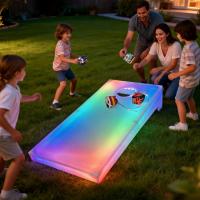 China Outdoor Toys Custom Outdoor Cornhole Throwing Game Sandbag Board Adult Cornhole Bean Bag Garden Plastic Sports Game Toy for sale