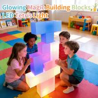 China Light Stax LED Building Blocks Advanced Educational Toy for Kids-Eco-Friendly Durable Living Room Use for sale