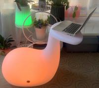 China Large LED Whale Stool – RGB Light Up Sensory Chair for Kids, Rechargeable & Waterproof for sale