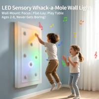 China Montessori Furniture Interactive LED Wall Panel with 2-in-1 Wall & Table Design and 8 RGB Lights for Kids Sensory Play for sale