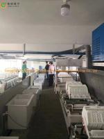 China Semi Auto Barrel Electroplating Line Cold Mini Electroplating Equipment for Small Components for sale
