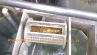 China Semi Auto Barrel Electroplating Line Cold Mini Electroplating Equipment for Small Components for sale