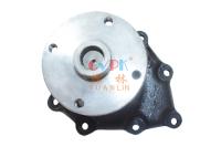 China 21010-19D10 Water Pump Assy NISSAN For Engine FD46T for sale