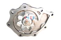China 21010-19D10 Water Pump Assy NISSAN For Engine FD46T for sale