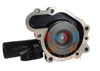China 129907-42000 Engine Mining Excavator Diesel 129907-42000 Water Pump Assy YANMAR Engine For 4TNV98 for sale