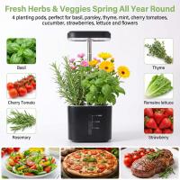 China Mini 4‑Hole Hydroponic Grower Soilless Indoor Vegetable Planter for sale
