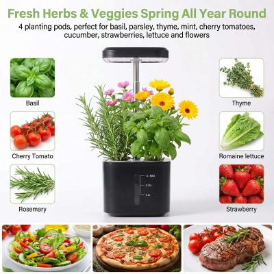 China Mini 4‑Hole Hydroponic Grower Soilless Indoor Vegetable Planter for sale