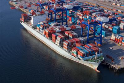 China China to Australia Sea Freight DDP DDU LCL Door to Door Shipping Service 4-6 Days for sale
