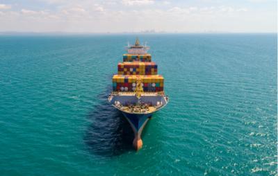 China China to Australia Sea Freight Shipping Agent DDP Door to Door Service 4-6 Days for sale