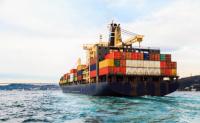China China to Adelaide Sea Freight Forwarder DDP Shipping Agent from Guangzhou Shenzhen for sale