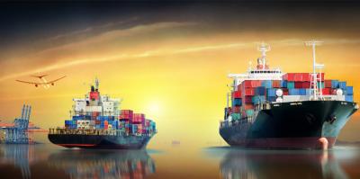 China DDP Door to Door Sea Freight from China to Brisbane Australia 20-28 Days for sale