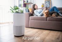 China DDP Door to Door Freight Forwarding Air Purifiers from China to Melbourne 1-20 kg for sale