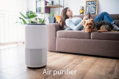 China DDP Door to Door Freight Forwarding Air Purifiers from China to Melbourne 1-20 kg for sale