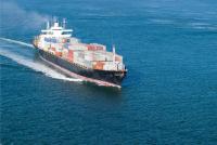 China Flexible Logistics Sea Freight Forwarding Services Maritime Cargo Transportation for sale