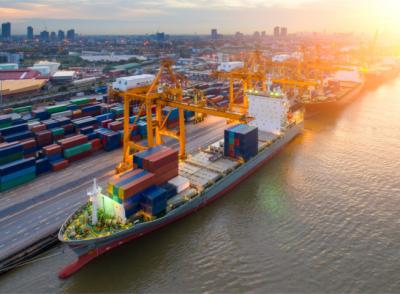 China Sea Freight Shipping Agent DDP DDU from China to Germany LCL FCL Cost Calculator for sale