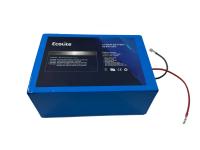 China 25.6V 7.5Ah LifePO4 Lithium Iron Battery Pack For Solar Tracker With BMS for sale
