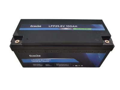 China 25.6V 100Ah LiFePO4 Battery Rechargeable Lithium Batteries BMS Built-In For RV Boats Outdoor Camping Custom for sale