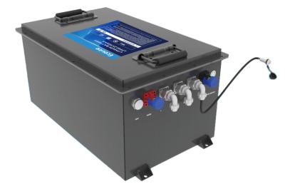 China LFP48-105 High Density Lithium Iron Phosphate Battery Pack 51.2V 105Ah For Golf Cart for sale