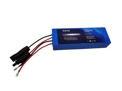 China ECOLITE 24V 1.3Ah 31.2Wh LTO Battery Pack For Solar Tracker Battery Support MPPT for sale
