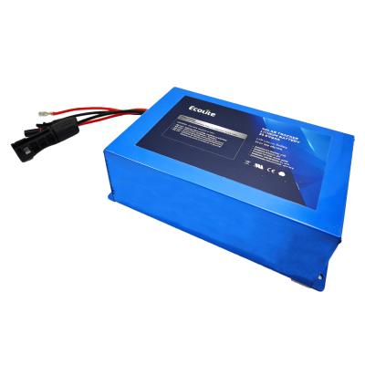 China ECOLFP2409 25.6V 9Ah Medium-Capacity LFP Solar Tracker Battery with Integrated MPPT for Enhanced Runtime for sale