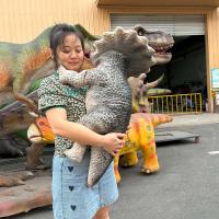 China Realistic Dinosaur Hand Puppet Customized for Dino Theme Park for sale