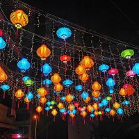 China Waterproof Outdoor Park Lantern Arts Holiday Decoration With Light for sale