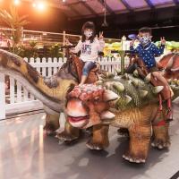 China Simulation Electric Brachiosaurus Walking Animatronic Dinosaur Ride for Kids for sale