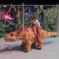 China Electric Walking Dinosaur Ride Animatronic Triceratops Dinosaurs Ride for Children for sale