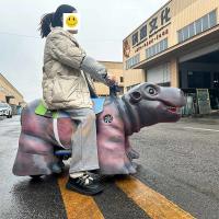 China Animatronic Electric Dinosaur Ride on Scooter for Shopping Mall for sale