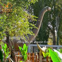 China Lifelike Real Life Size Dinosaurs Model for Amusement Park And Museum for sale