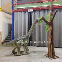 China Small Brachiosaurus Dinosaur Model for Mall Decoration and  Jurassic Park for sale