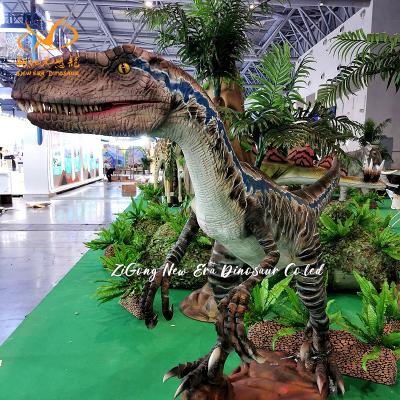 China Simulated Electric Animatronic  Velociraptor Dinosaur Model for Entertainment Park and Restaurant for sale