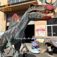 China Realistic Life Size Spinosaurus Dinosaur Model for Jurassic Park and Dino Park for sale