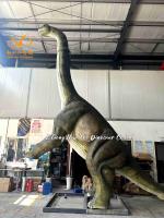 China Realistic Long Neck Brachiosaurus Dinosaur Model For Jurassic Park for sale