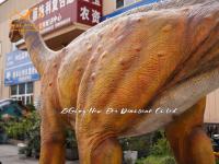 China Vivid Long Neck Dinosaurs Simulation Model for Jurassic Park and Jurassic World for sale
