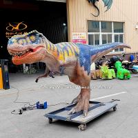 China Realistic Real Size Ankylosaurus Dinosaurs Models for Exhibition and Amusement Park for sale