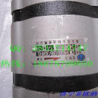 China Part No.: CBFT-F308/308/303AFK1 Gear Pump yuchai YC13-8 excavator hydraulic Pump for sale