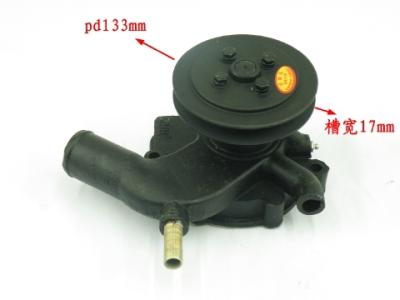 China 4102Q4-19001L Water Pump Assembly For YZ4102 for sale
