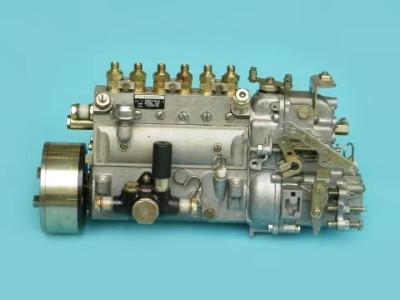 China 6AW405 Fuel Injection Pump Assembly For YC6108 for sale