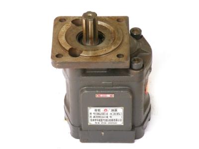 China CBGY100 Gear Oil Pump Assembly For STR for sale