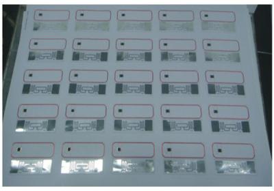 China Dual Chip LF RFID Inlay Smart Tag Custom Made AL Etching 5 * 5 Layout for sale
