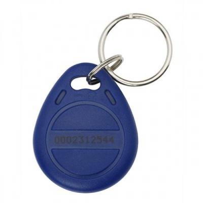 China Waterproof EM4200 Key Fob Rfid Tag 125khz Blue Color Silk Screen Printing for sale