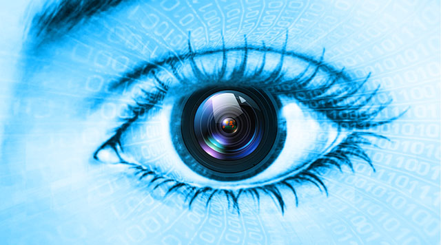 Shenfa vision inspection system