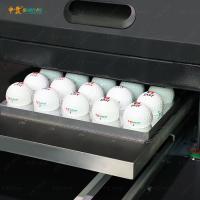 China SF-IJP6095 High Speed Fully Automatic Flatbed Digital Inkjet Printer with 600x950mm Printing Area and 120mm Thickness Capacity for sale