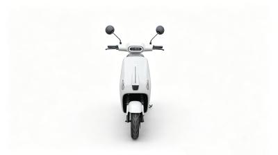 China SLEEU Electric Scooter Smart EV 48V 20Ah Factory Direct Customizable Worldwide Shipping for sale
