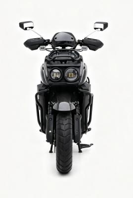 China SLEEU Electric Scooter, Electric Motorcycle, Factory Direct Sales, Personalized Customization， Tank，High-power motor for sale