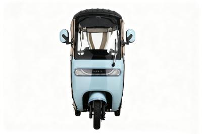 China SLEEU Electric Scooter EEC Certified 3-Wheel Tourist Tricycle Factory Direct Customizable for sale
